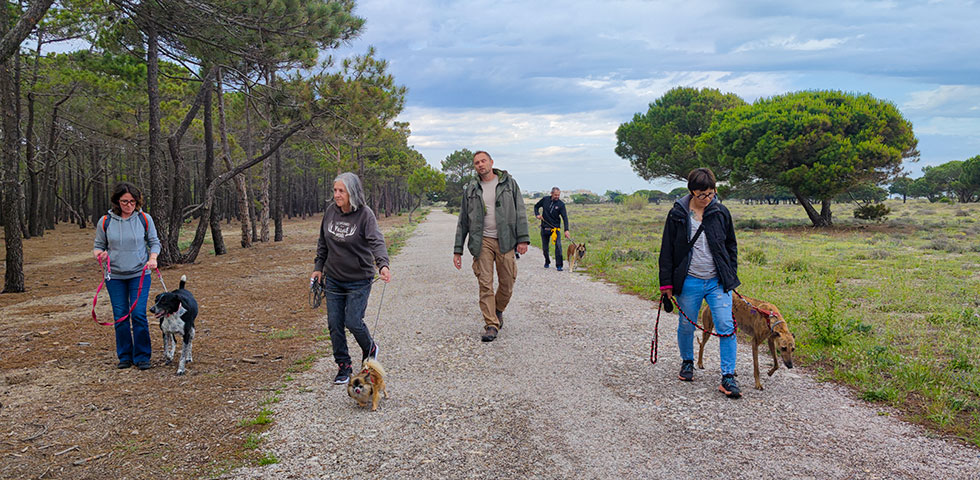 Succès des balades éducatives canines - LeBarcarès.fr, ma ville à portée de clic